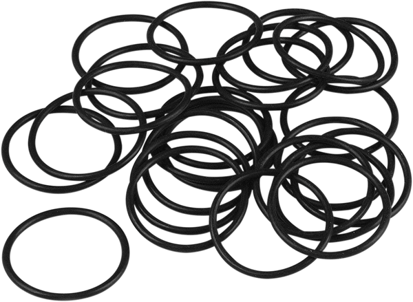 JAMES GASKET Primary Filler Plug O-Ring - 25 Pack - XL '75-'90 - JGI-1 ...