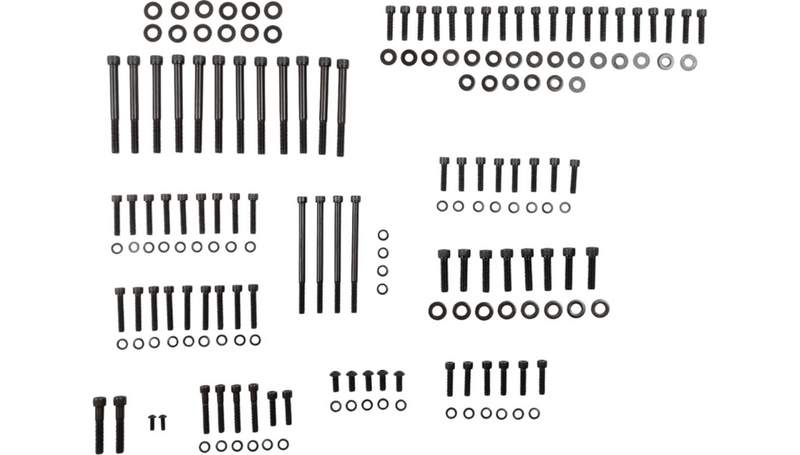FIGURATI DESIGNS Engine Bolt Kit - Black - Stainless Steel - M8 '17-'2 ...