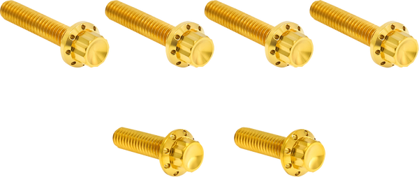 ARLEN NESS Bolt Kit - Cable Clutch - Titanium - 12-Point - M8/Twin Cam ...