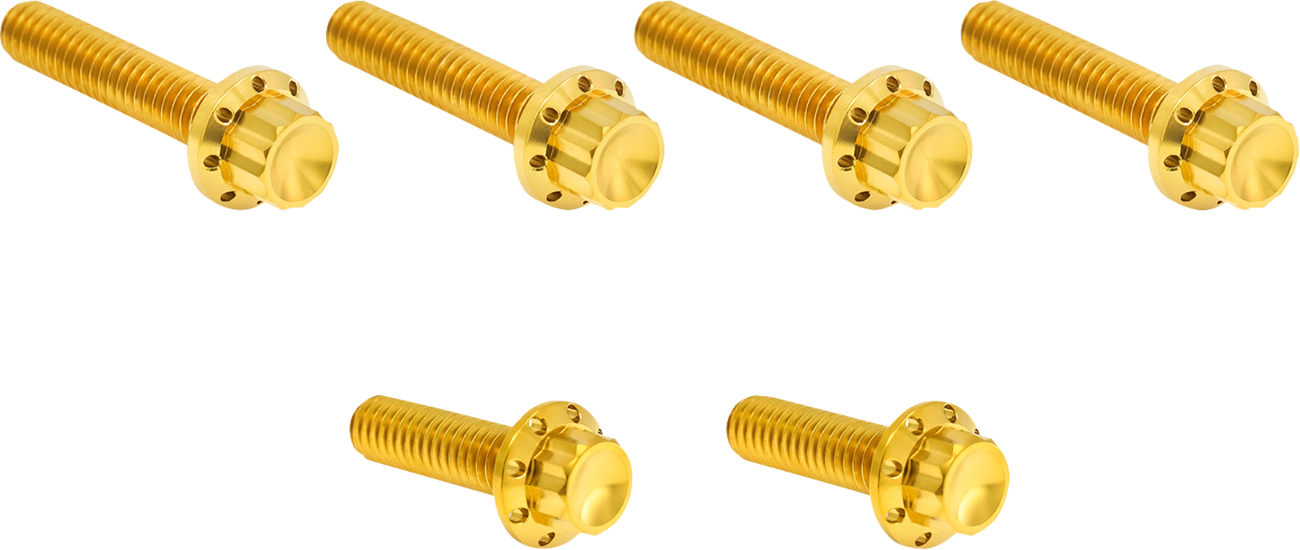 ARLEN NESS Bolt Kit - Cable Clutch - Titanium - 12-Point - M8/Twin Cam ...